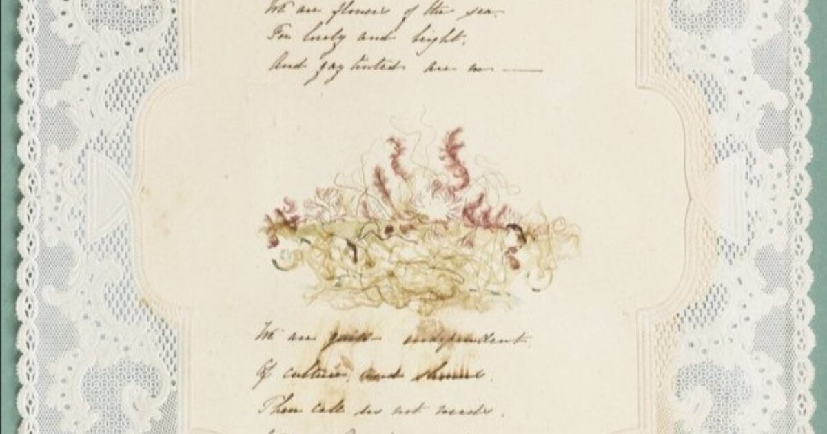 Newberry Library | Jane Austen and the Rise of the English Novel…