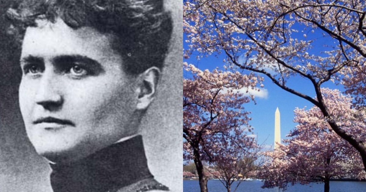 A Little Book with a Big Impact | Newberry Library