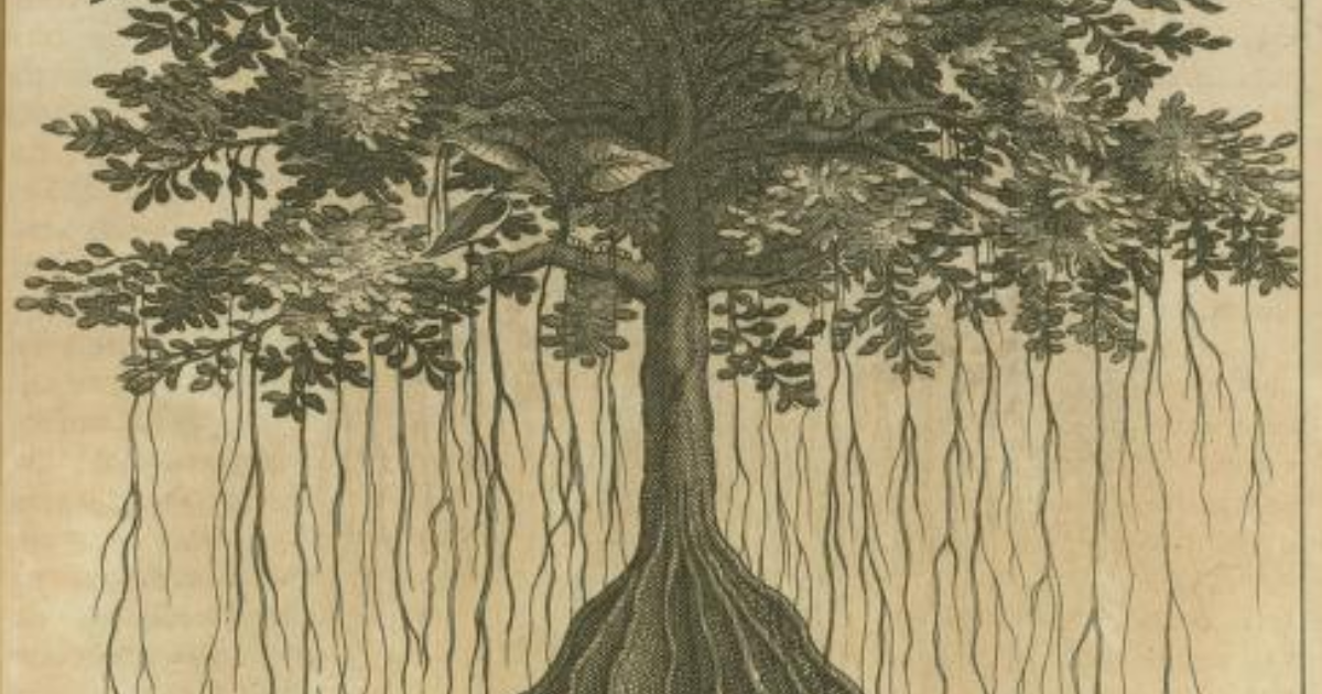 Newberry Library | Super Fly: Francois Makandal, Atlantic Fetishes,…